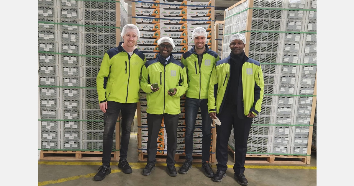 Erster Container mit Avocados aus Ruanda trifft in den Niederlanden ein