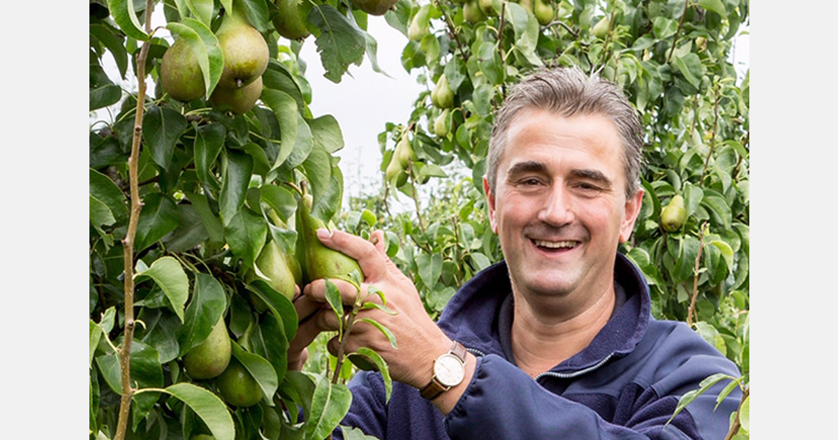 "Elstar ist der meistverkaufte und gleichzeitig am wenigsten geschätzte ...