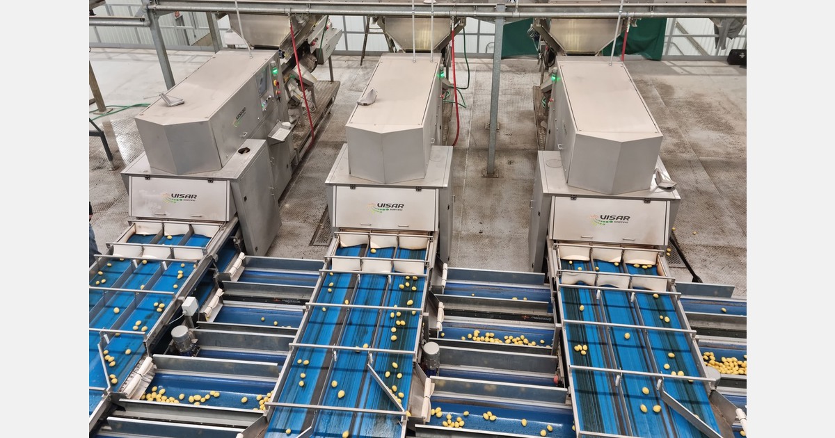 "Wir bauen einen neuen optischen Sortierer für den Pflanzkartoffelmarkt"