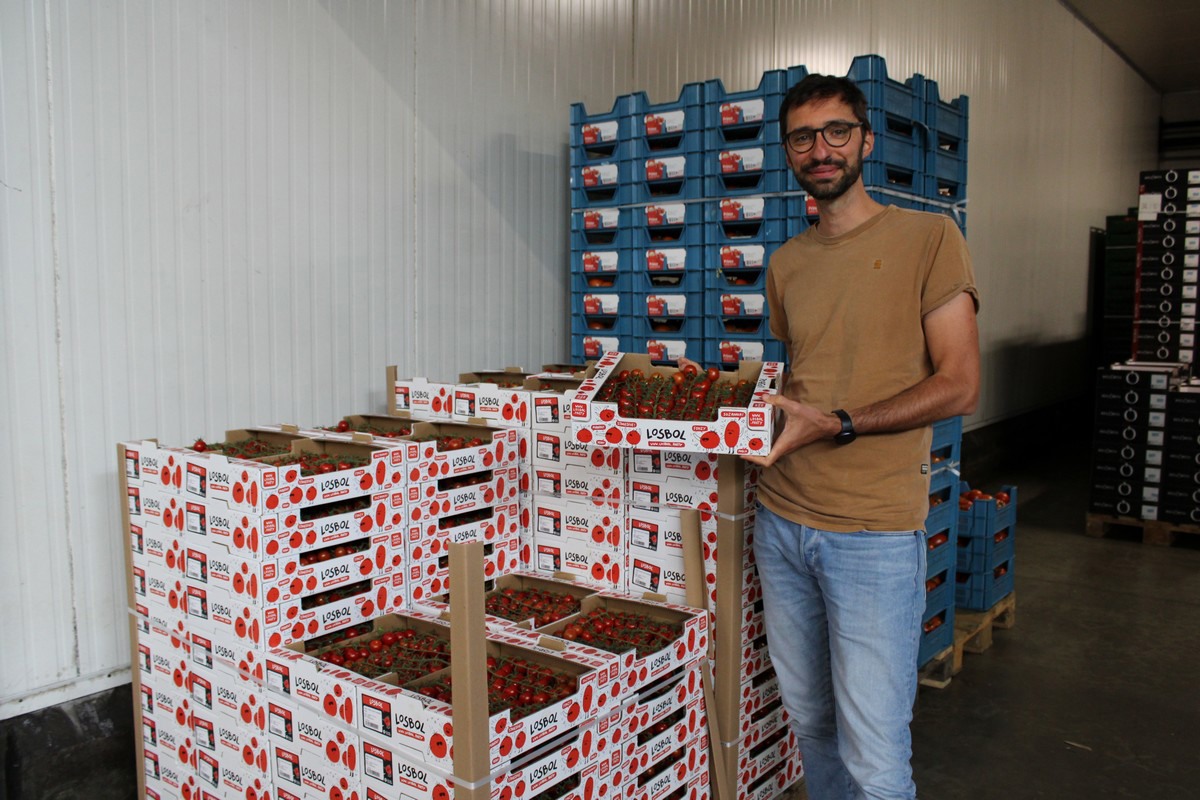 "Deutschland ist noch weit davon entfernt, sich mit Tomaten selbst zu ...