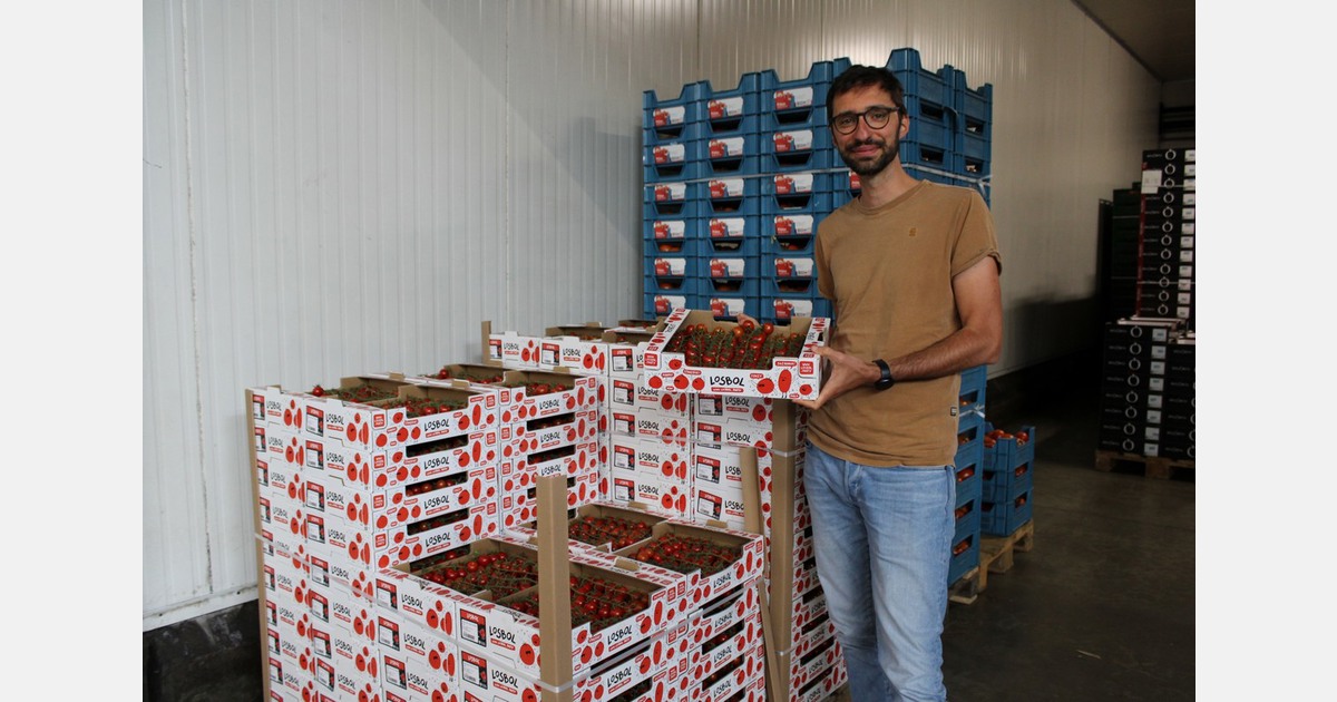 "Deutschland ist noch weit davon entfernt, sich mit Tomaten selbst zu ...