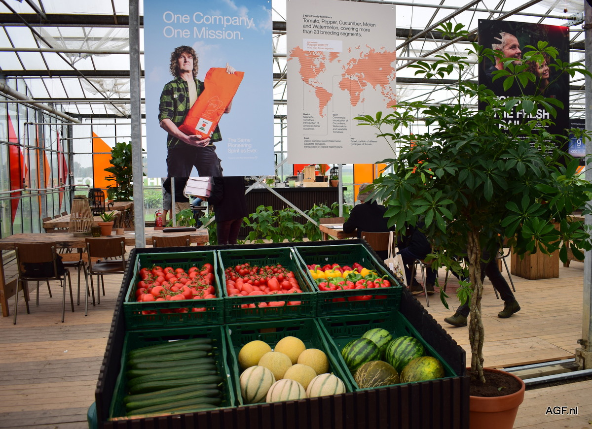 Pop Friend Seeds wird KWS Vegetables