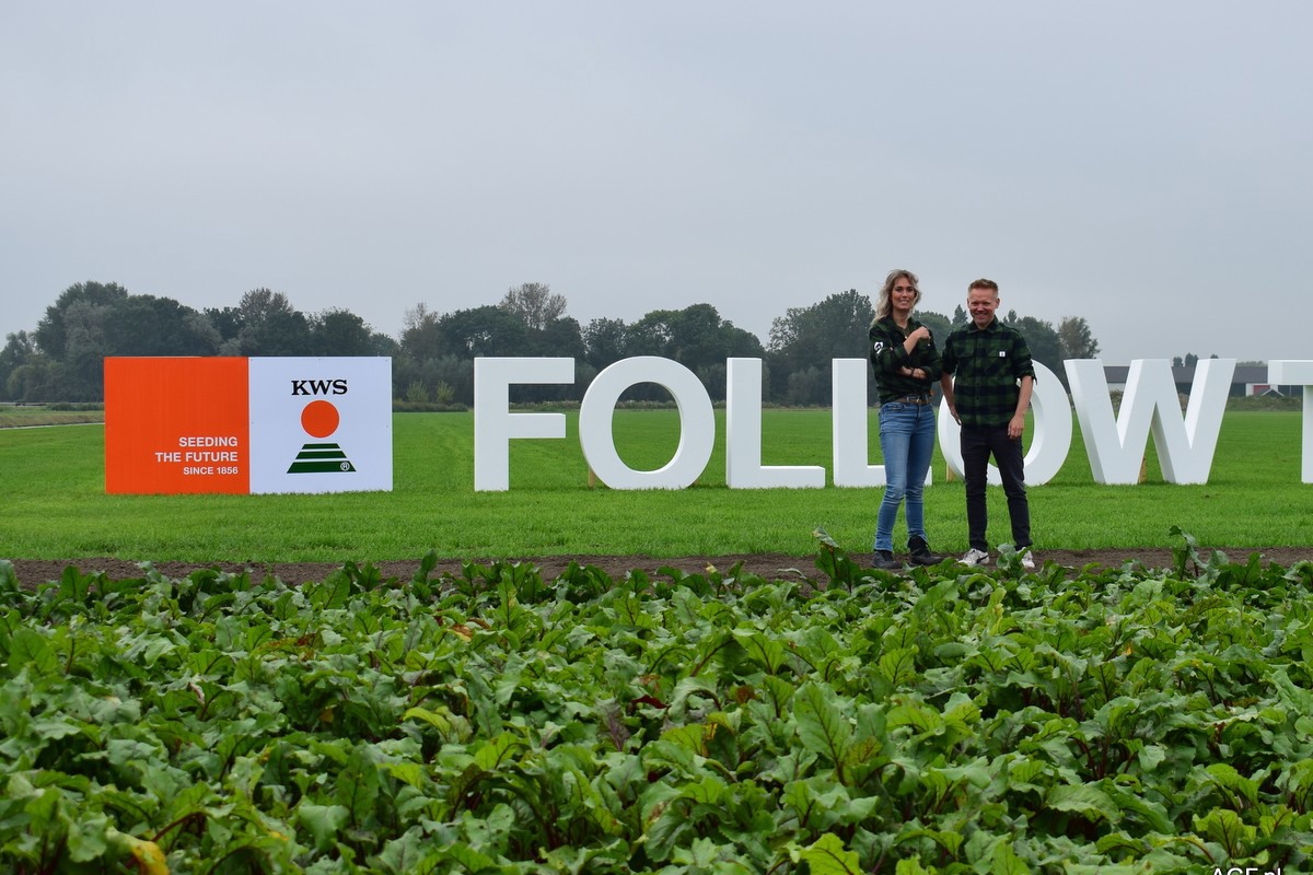 Pop Friend Seeds wird KWS Vegetables