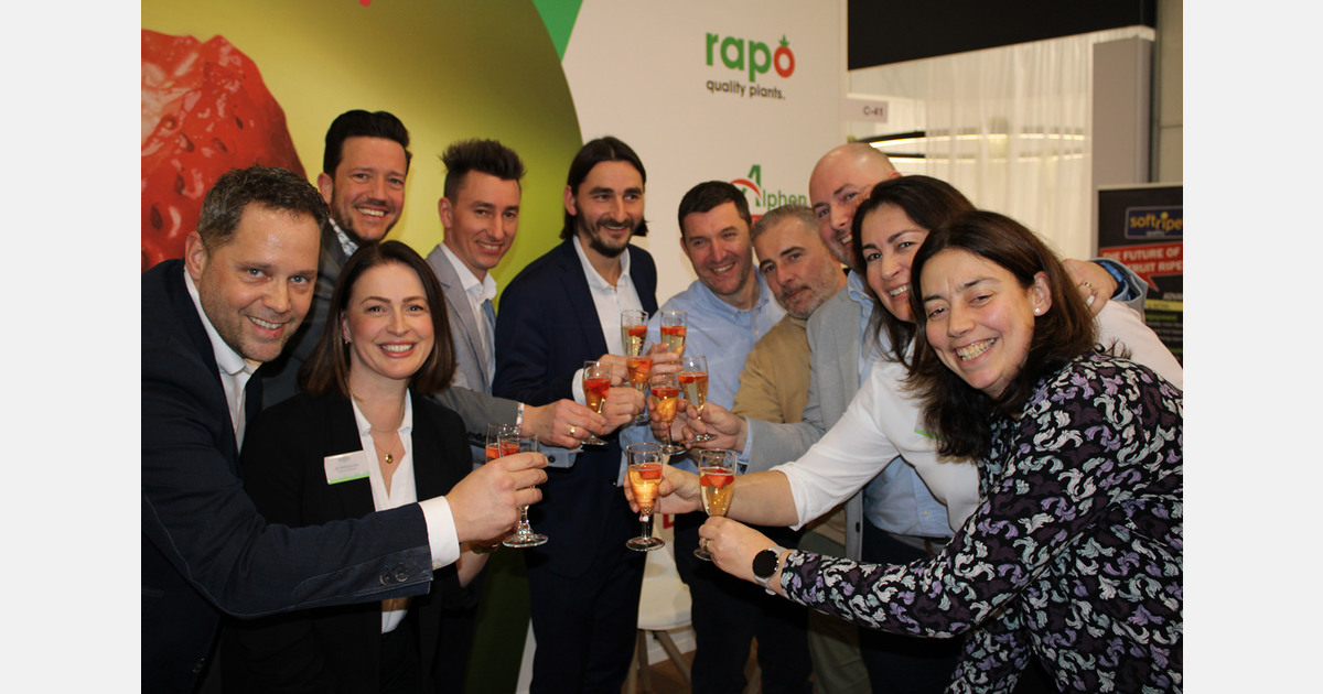 Vertrieb der neuen Premium-Erdbeersorte über das Bachata Berry Collective