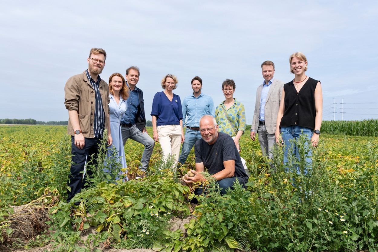 Lidl startet umfangreiches Pilotprojekt für nachhaltigen Erdbeer ...