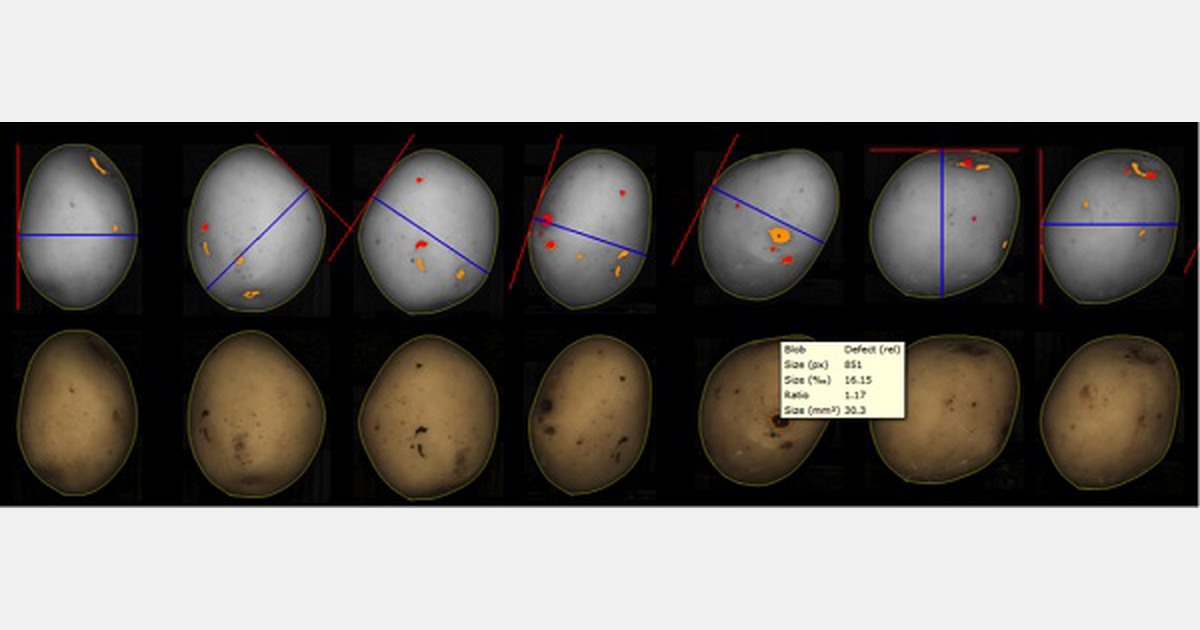 Optische Sortierung liefert präzise Ergebnisse und spart Kosten