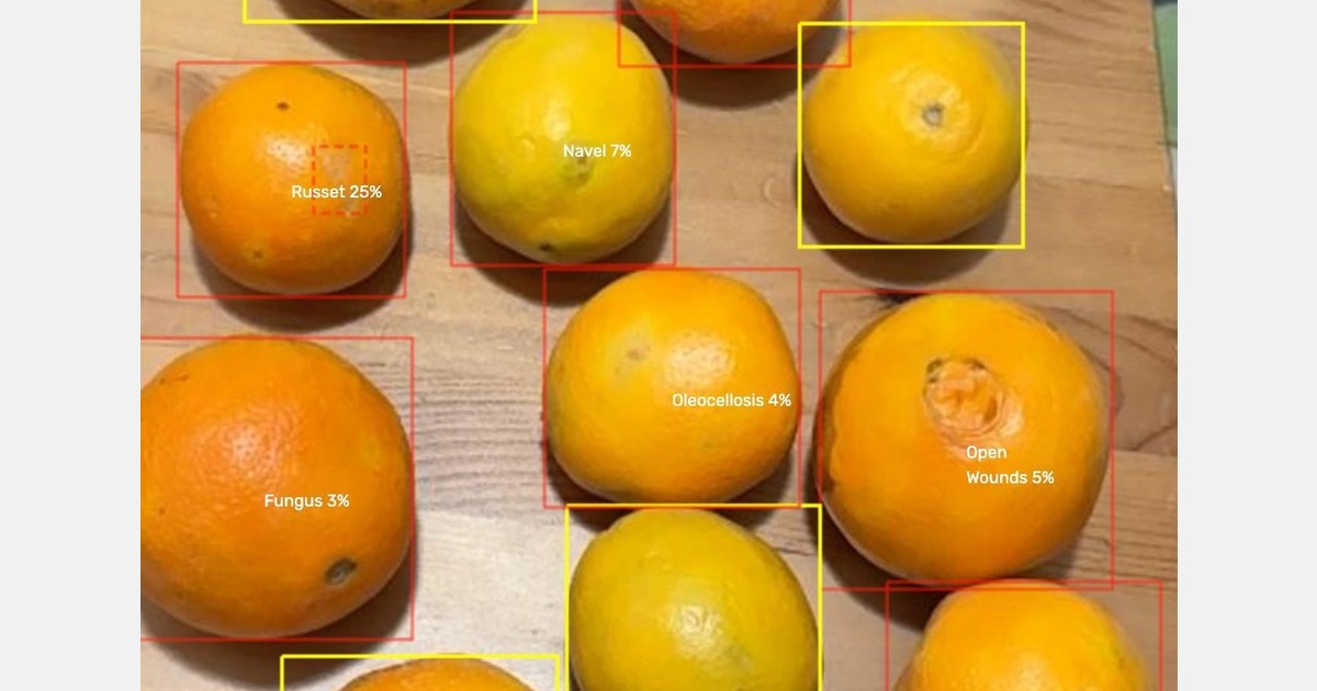 Neue AI-gesteuerte Qualitätskontrollfunktionen von Clarifruit auf der ...