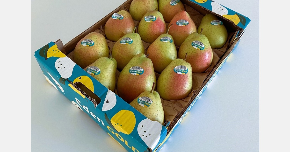 "Neue Eden Gold-Birnen, geerntet im August in Israel, Frankreich ...