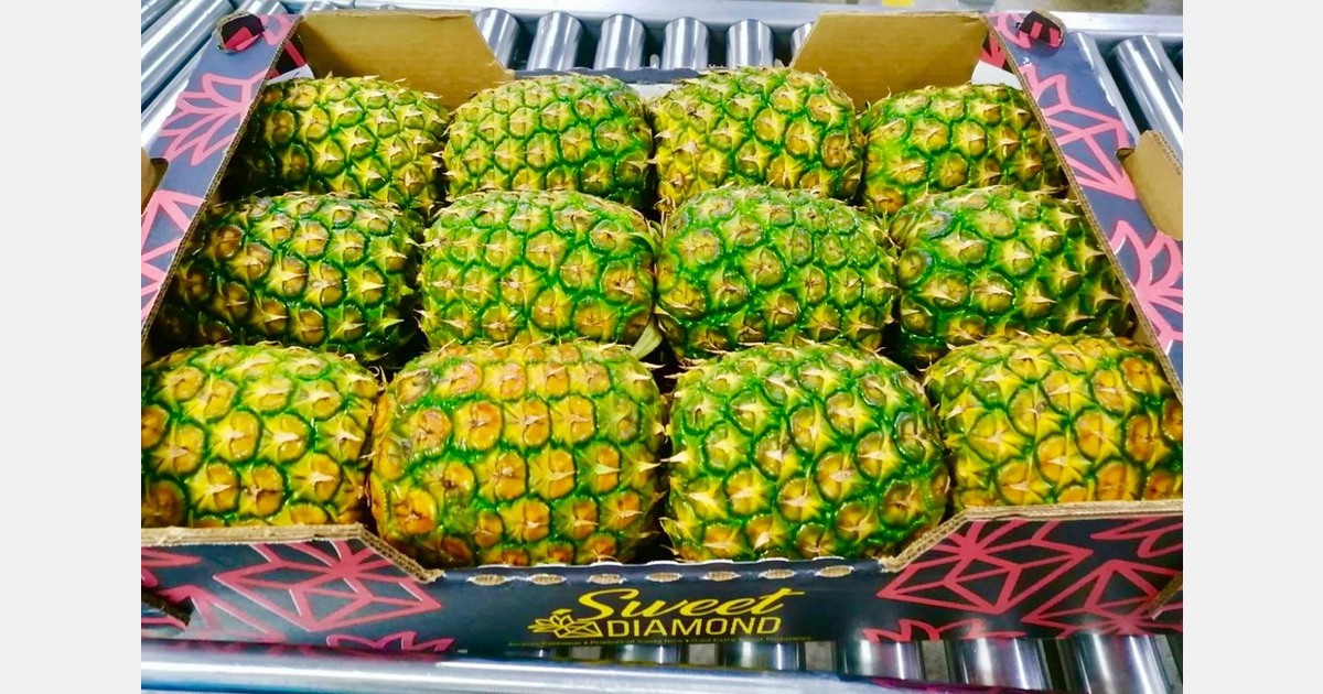 "Der Export von Ananas ohne Krone ist nichts Neues, aber viele Märkte ...