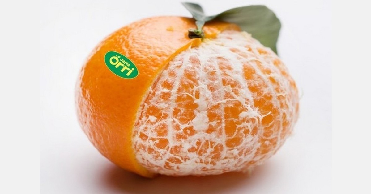 Jaffa-Mandarine von ORRI, ein Vorzeigeprodukt mit hohem Mehrwert