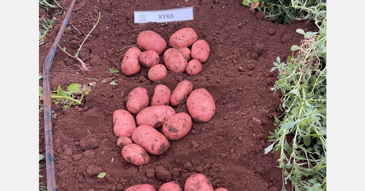 "Eine gute Sorte bietet Wachstumspotenzial"