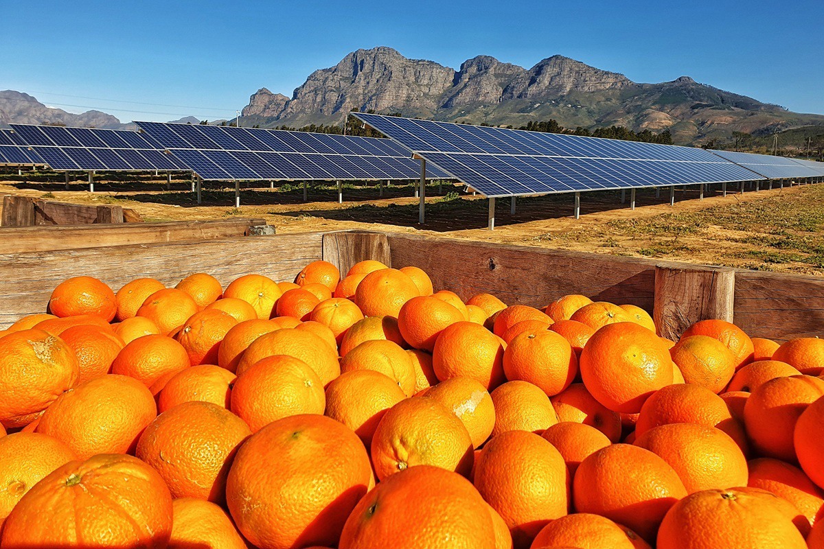"Die Reise nach China hat uns die Augen geöffnet"