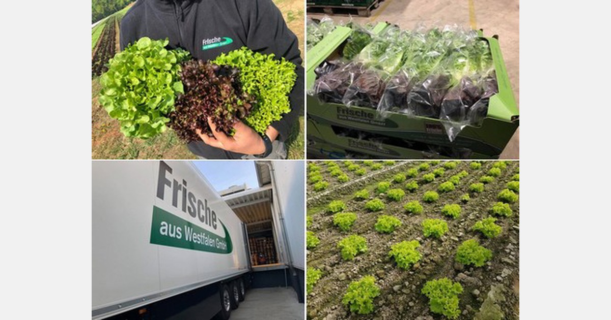 "Mini-Romana ist heute einer der interessantesten und beliebtesten ...