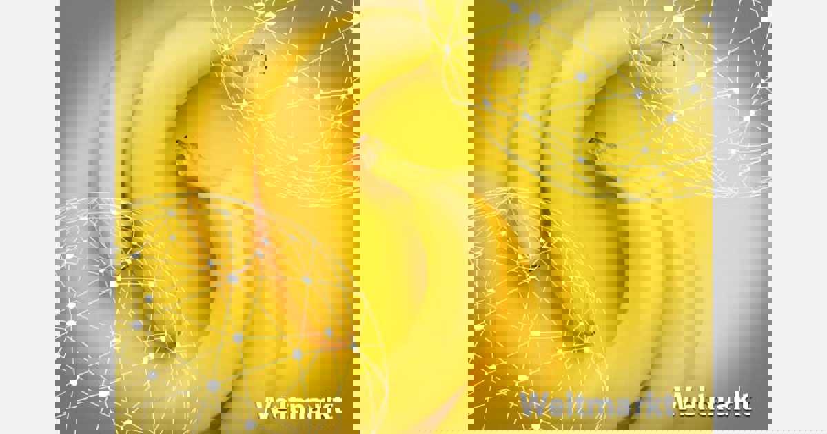 Übersicht Weltmarkt Bananen