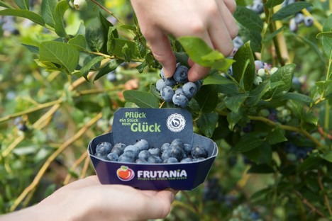 "Besonders freuen wir uns über den Zuwachs der Zwetschgensorte Haroma"