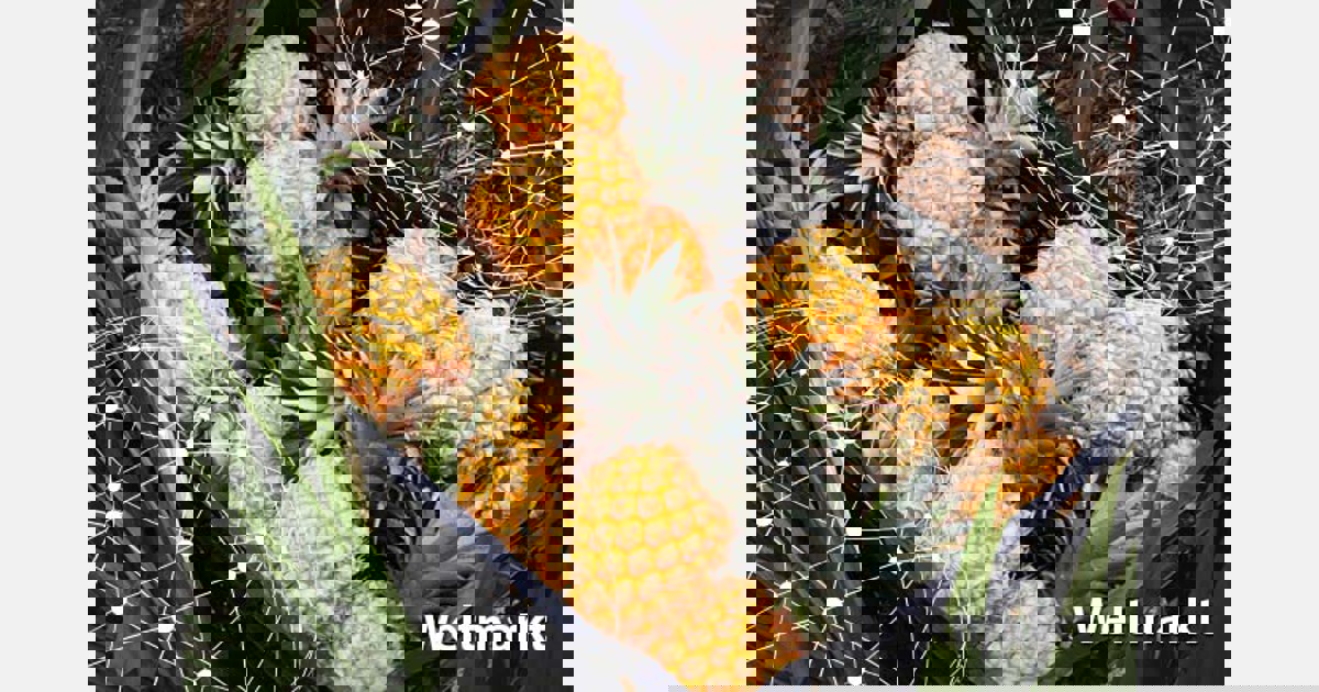 Übersicht Weltmarkt Ananas