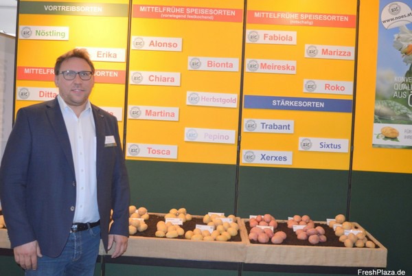 NÖS präsentiert neue Kartoffelsorten