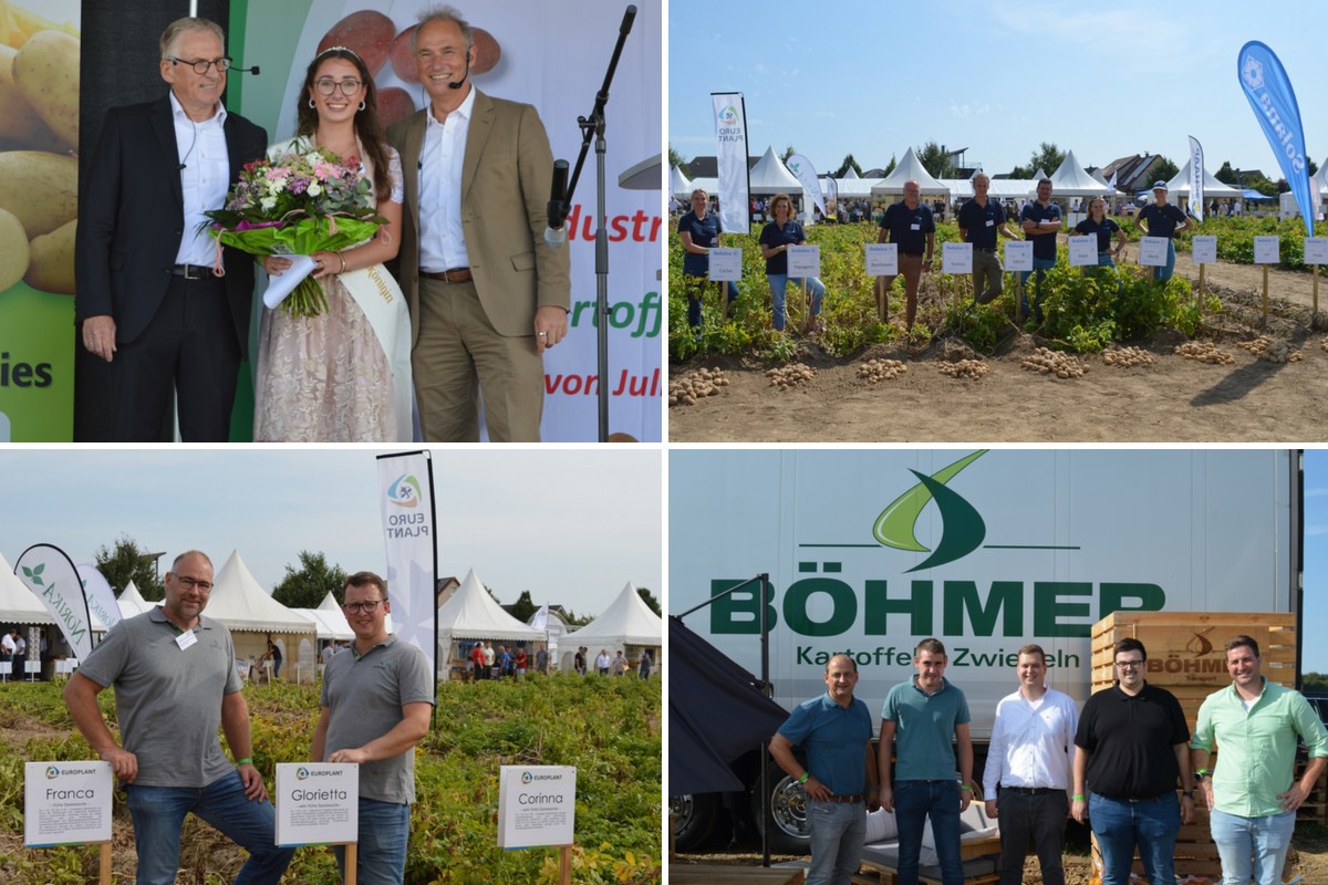 "Flächenausweitungen im Kartoffelanbau sollen Wetterschäden großteils ...