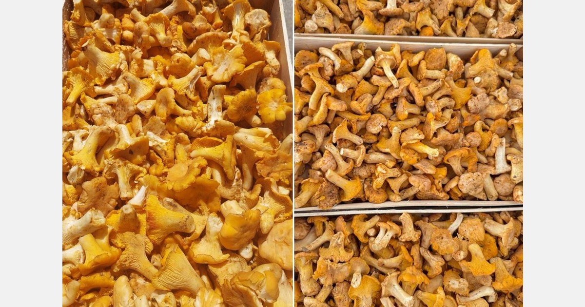 "Erfreuliche Nachfrage ab KW 21"