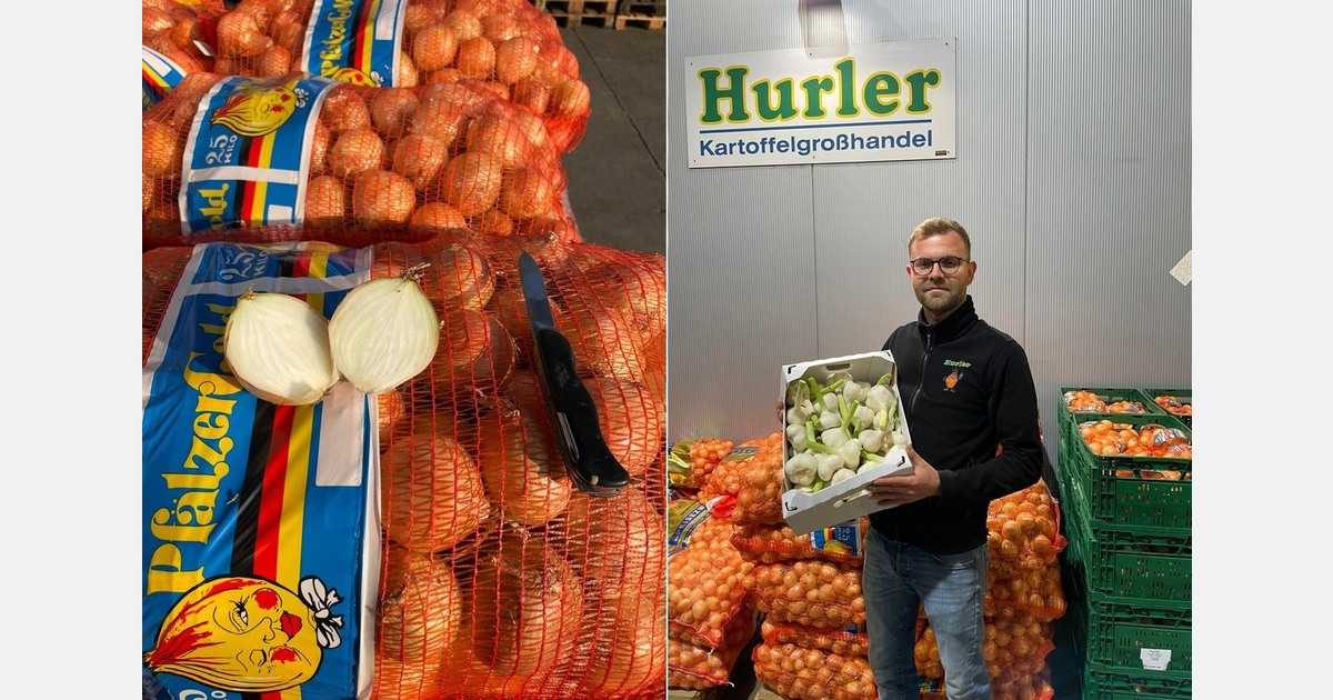 "In der KW 26 gab es bereits erste deutsche Steckzwiebeln"