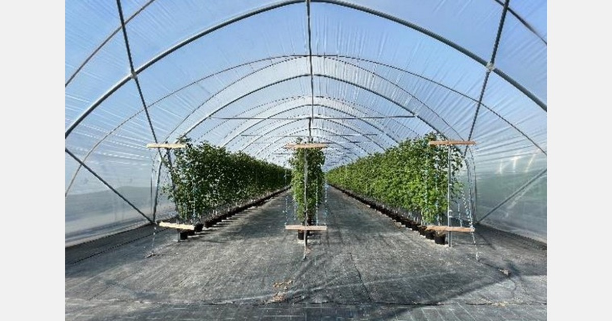 "Mit Secufarm® bieten wir eine flexible, modulare Mehrgefahrenversicherung"