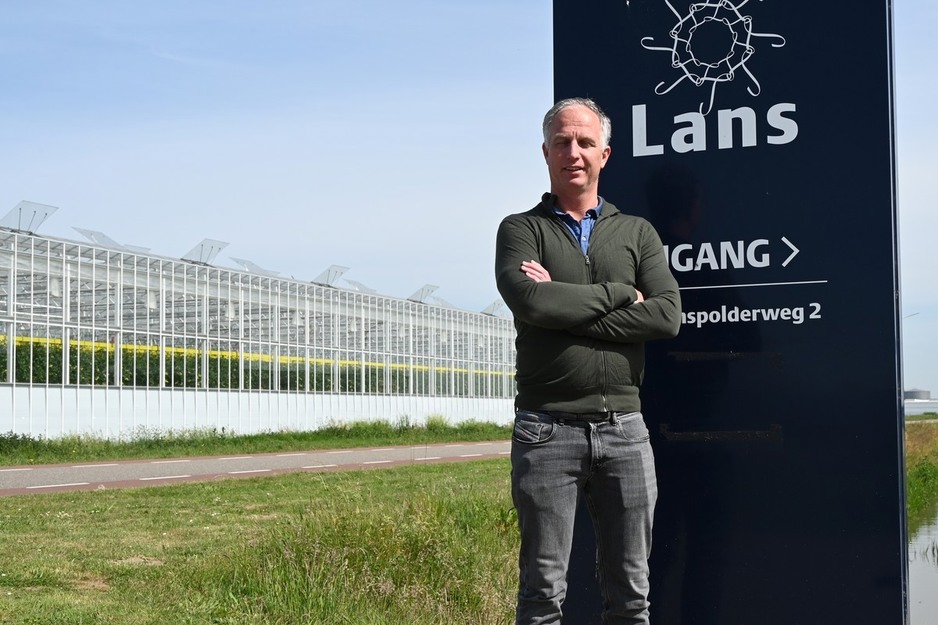 Lans setzt Trap-Eye™ zum Schutz von 88 Hektar Premiumtomaten ein