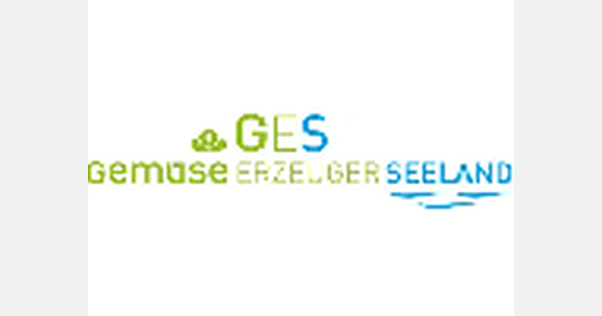 Neue Marktpositionierung und Gründung der GES AG