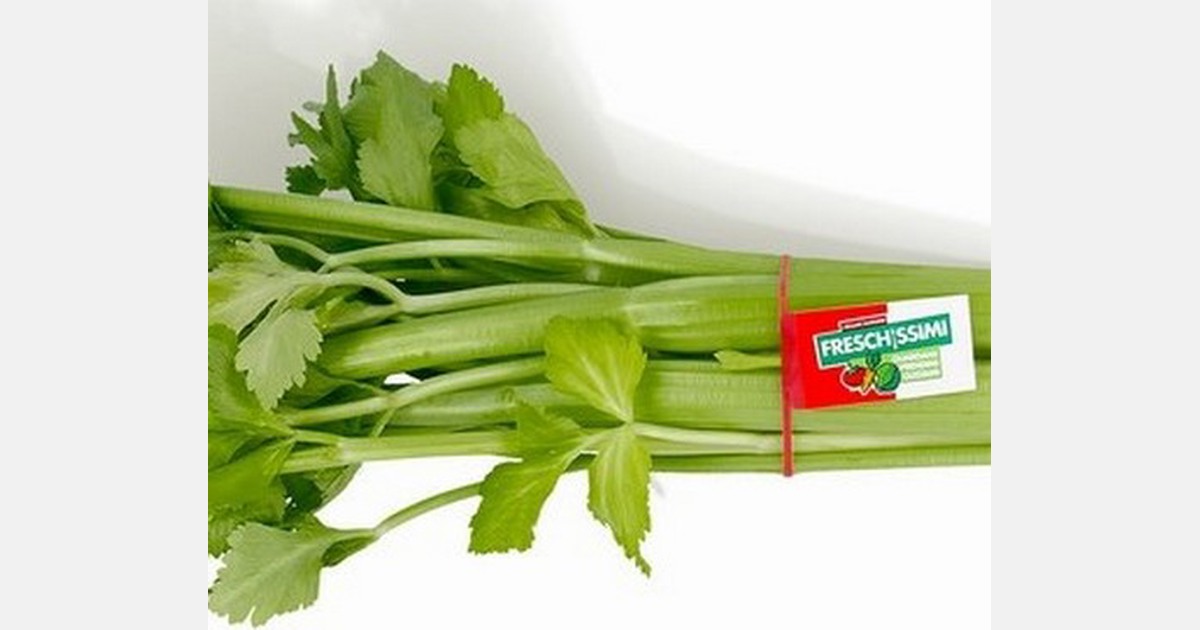 ElastiTag wird jetzt auch für Sellerie verwendet