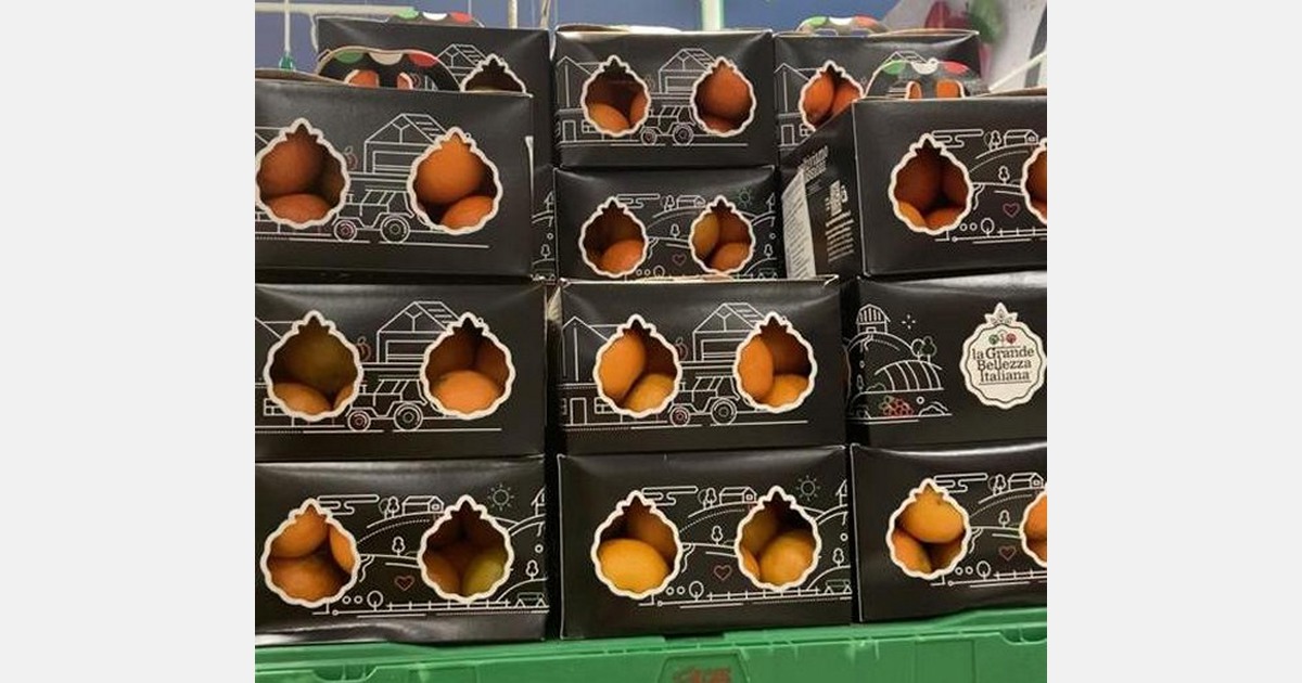 Clementinen mit der g.g.A. Golf von Tarent - ein Qualitätsprodukt, das ...