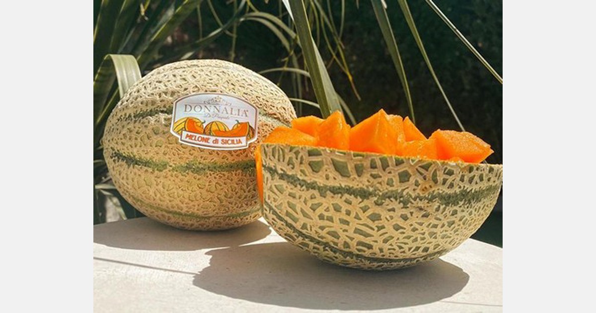 In Sizilien werden Netzmelonen und Aprikosen in Hülle und Fülle geerntet