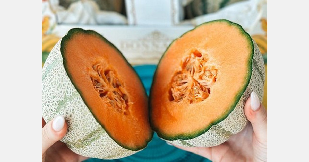 Die früheste Netzmelone in Europa ist jetzt erhältlich
