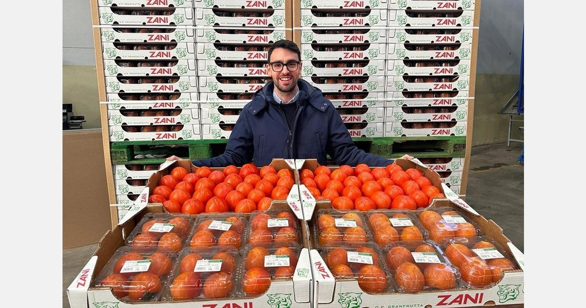 Der Absatz von Kaki entwickelt sich positiv