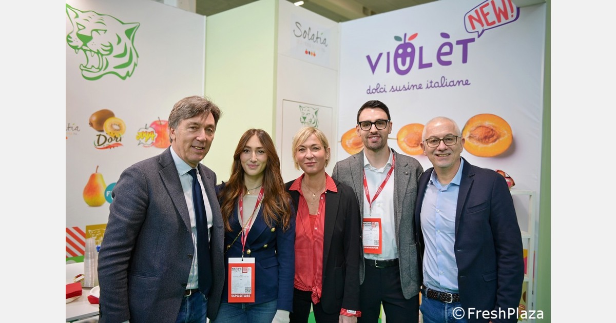 Viulèt, die neue Pflaume, die die Süße hervorhebt