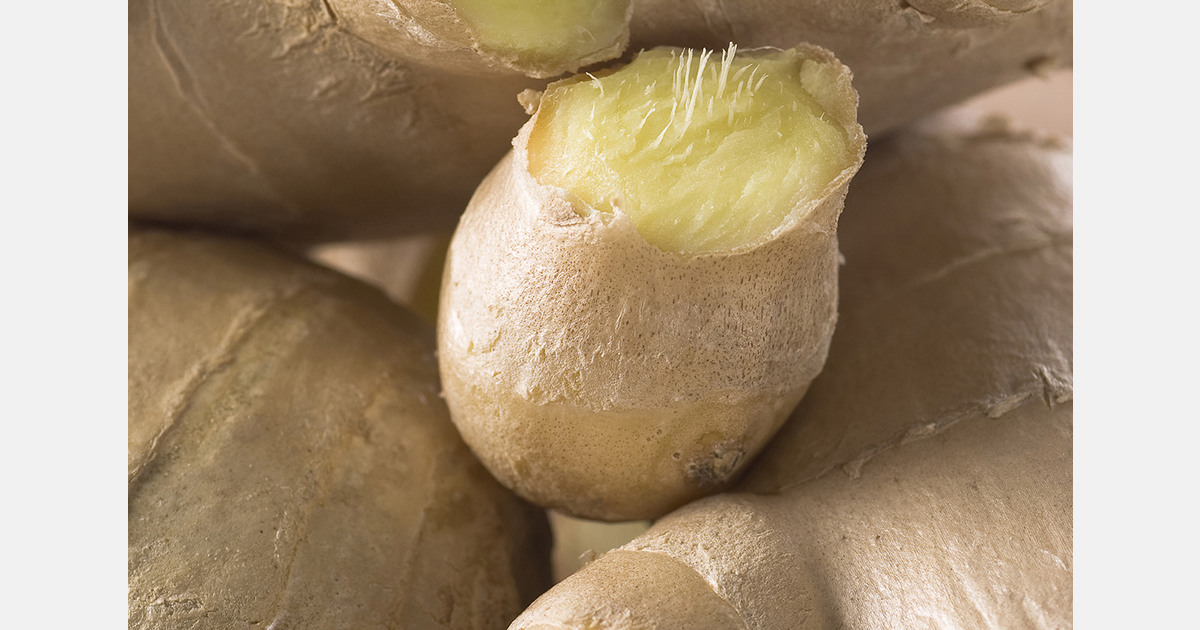 Frischer peruanischer Ingwer hatte keinen guten Start ins Jahr