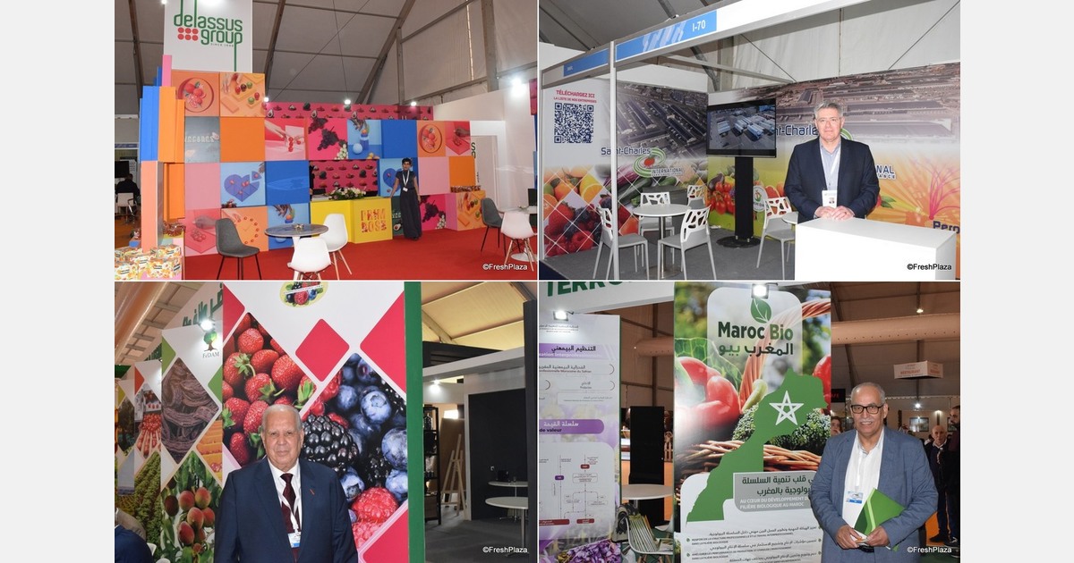 Fotoreportage SIAM 2025